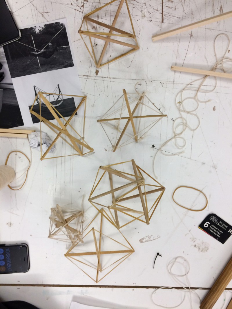 Structure is good for you: exploring geodesic and tensegrity forms | Interior Educators